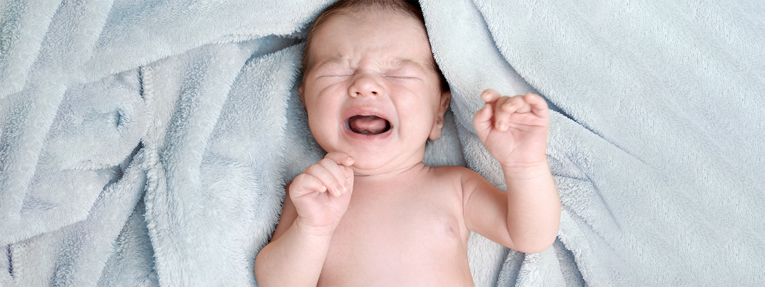 Introducing Solids: When and Where to Start – Good Start Canada